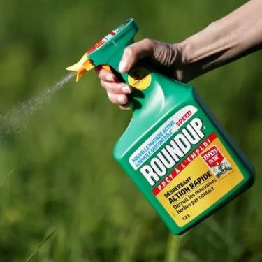 Health Risks in Using of Monsanto's Roundup Weed Killer - The Ultimate ...
